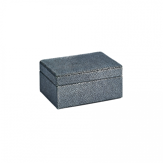 Small Box Â shagreen Leather | Pixonu